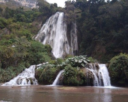 Oye Chiapas - Analizan calidad del agua en la Reserva Selva El Ocote